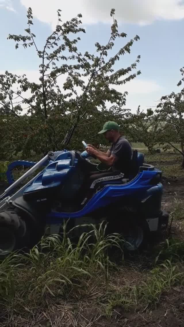 Наши воспоминания о медовом месяце. 10.04.2025г.