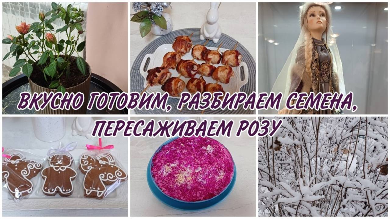 Готовим шашлычки дома, пересаживаем розу, готовимся к дачному сезону. Весна, а за окном снег.
