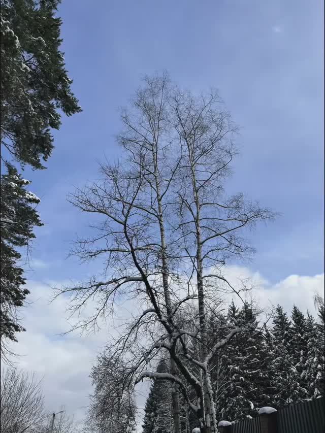 Апрель - последние снежные дни