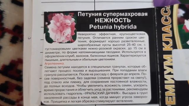 ОБЗОР ПЕТУНЬИ__НА 20 МАРТА__ КАКИЕ СОРТА__