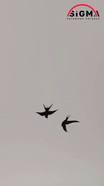 Новые наклейки для натяжного потолка и дизайна интерьера!