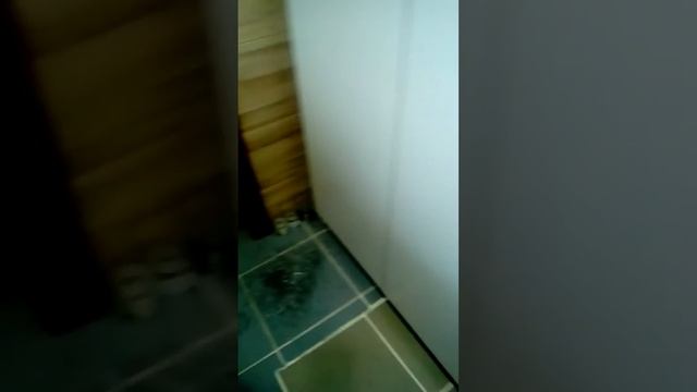 Антипчеловодческая проволока