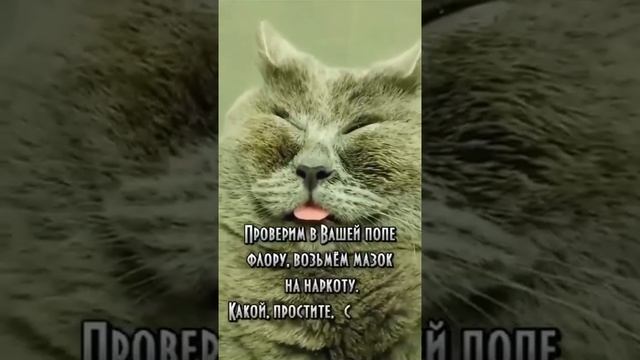 Мораль  сей басни  такова...