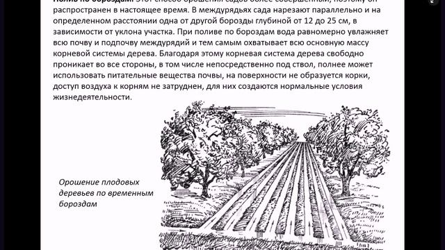 Курсы повышения квалификации. Уход за почвой в садах