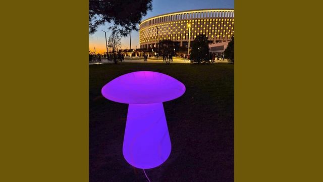 Желаю всем - Спокойной ночи...