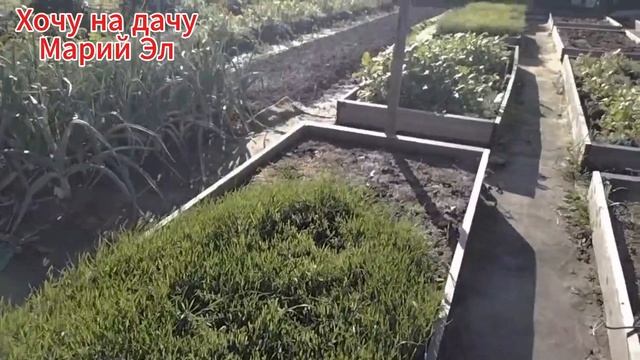 Как это было. Бордюр для цветника из кирпича 8.10.22г.