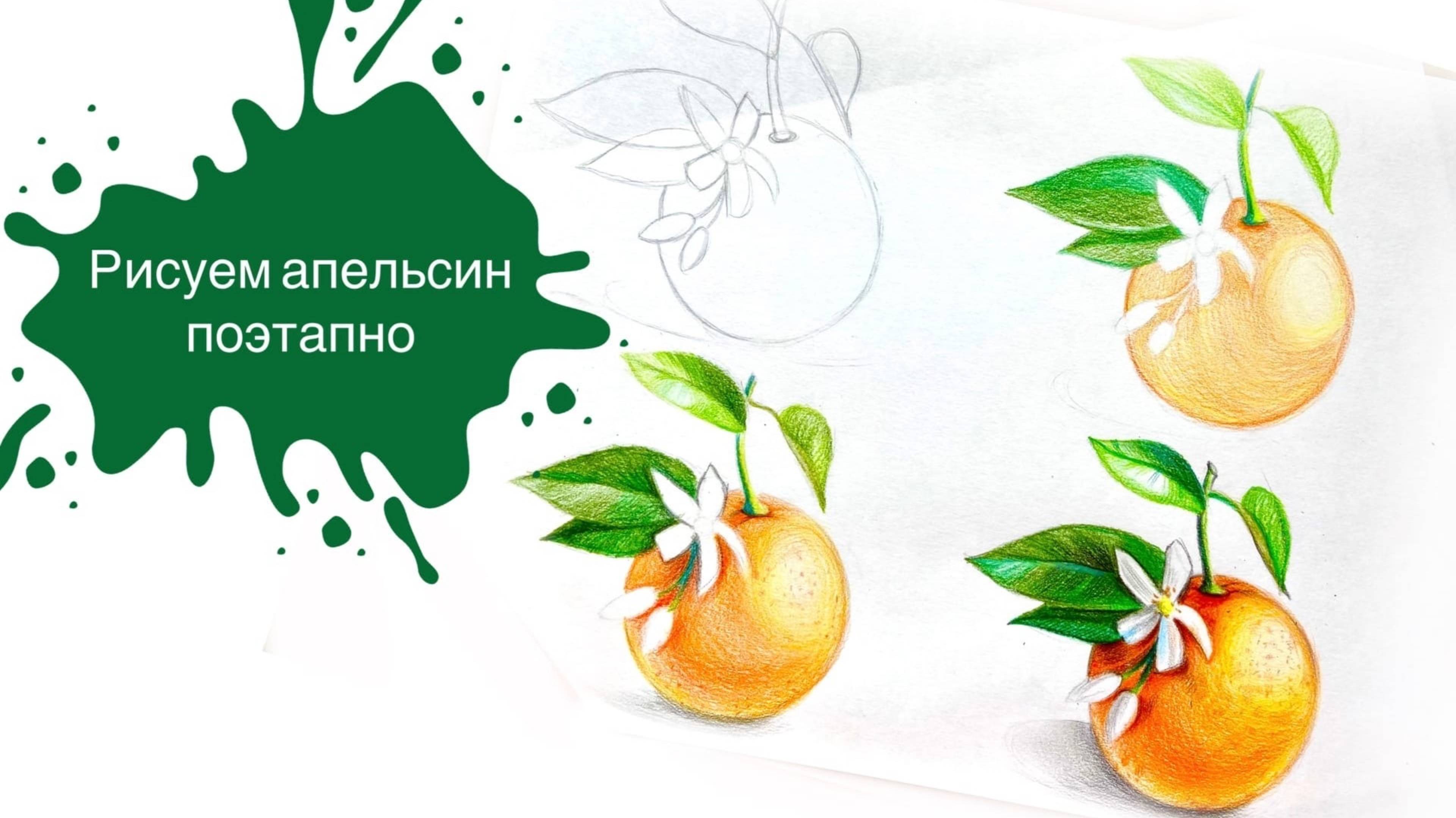 Рисуем Апельсин Поэтапно! Урок по рисованию цветными карандашами для начинающих 🍊