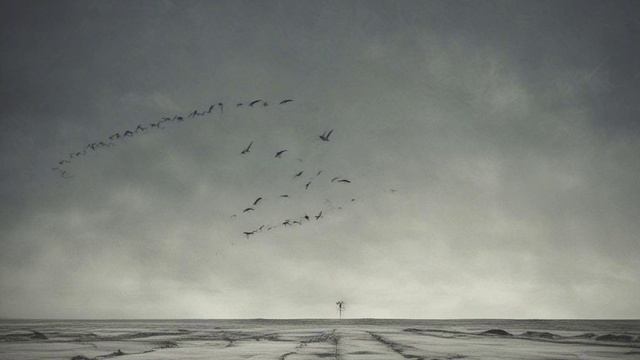 Плакать перестану. .