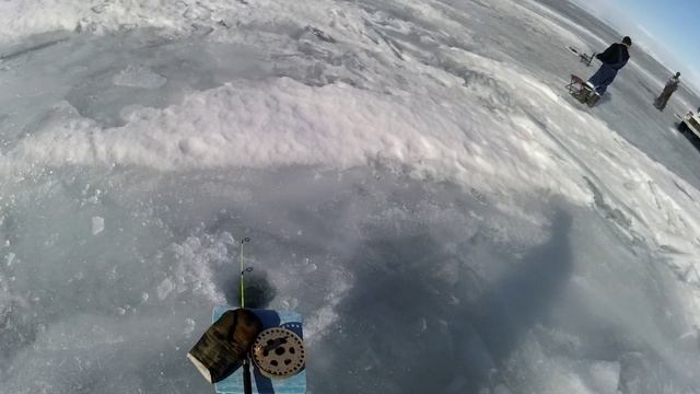 Новый фильм. 7-8.04.2025. Хакусы. Рыбалка.