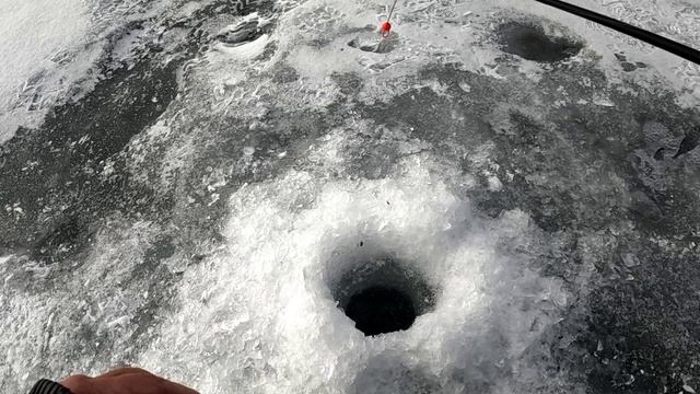 Ловля окуня. Озеро светлое.#2