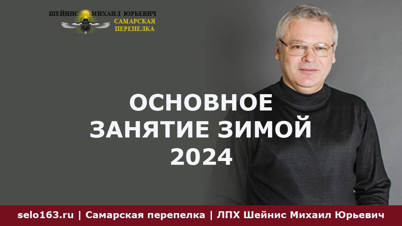 Основное занятие зимой 2024