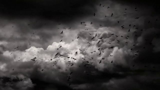 Воронье поганое. стих в прозе.