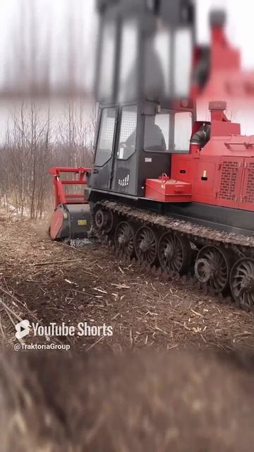 Лучшее шасси для расчистки - только 5 катков 89261385927 #мульчер #ротоватор #тлп #расчистка