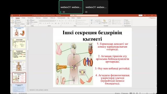 Есжан Бану Газизовна (09.04.2025ж.)