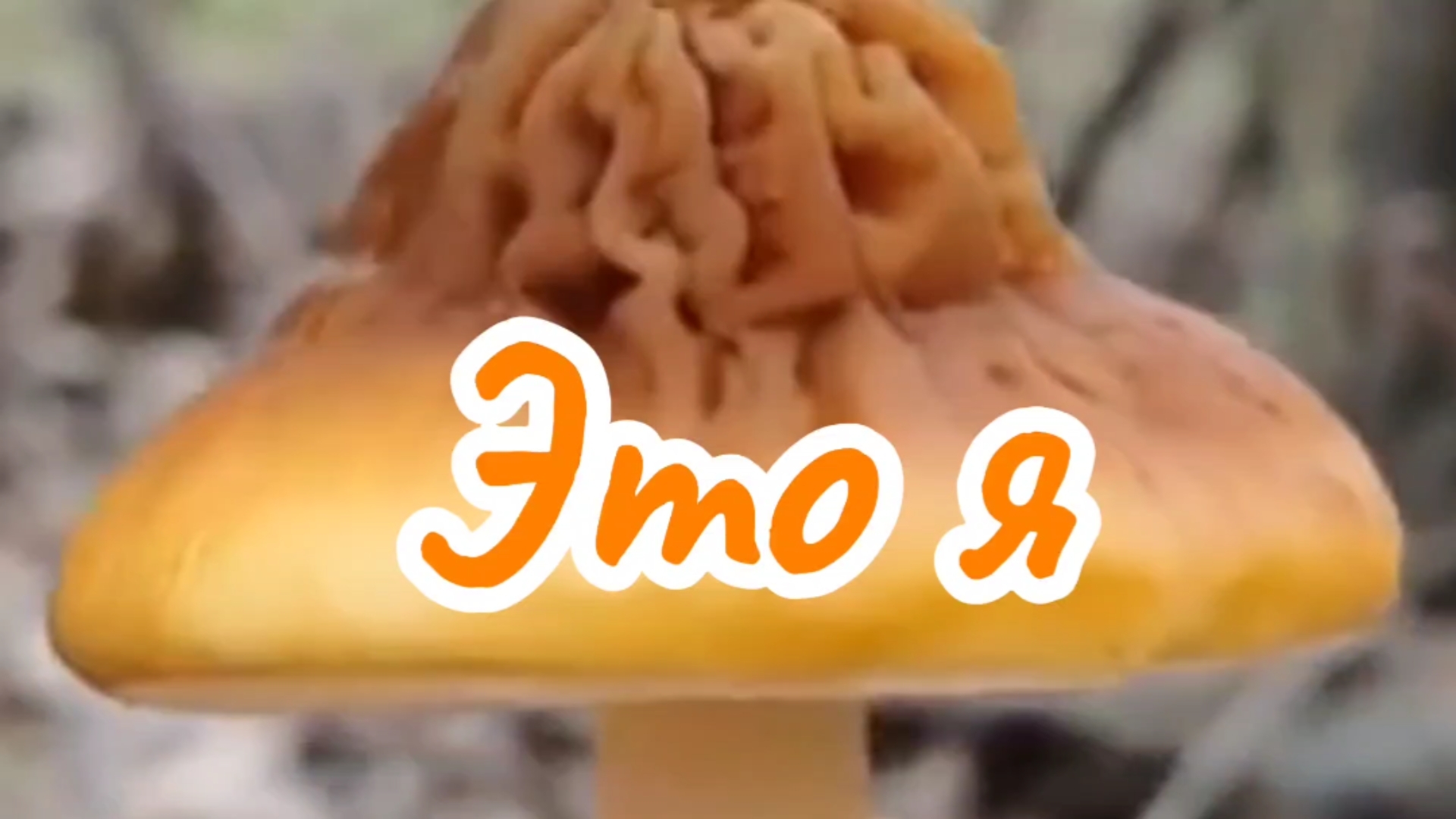 Снова за шапочкой.