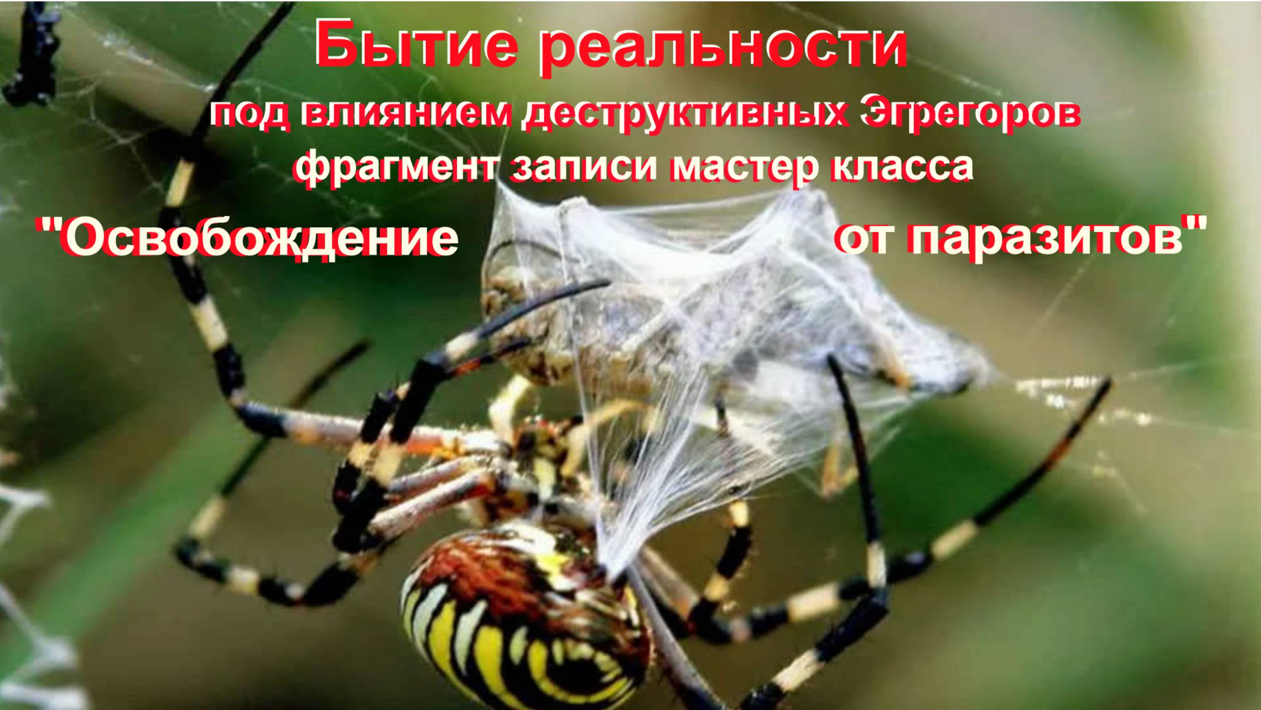Как сохранить и преумножить энергию? Фрагмент записи мастер класса "Освобождение от паразитов"