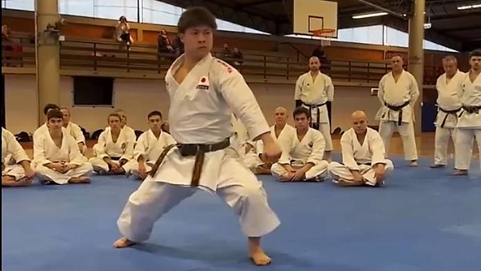 Сётокан ката Энпи