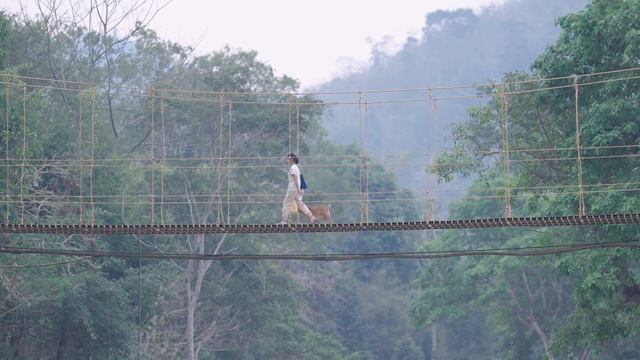 20711638-hd_1920_1080_25fps