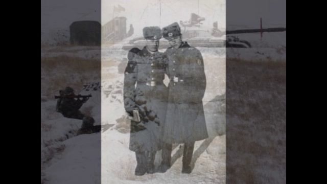 Часть 34. ЗУБНАЯ БОЛЬ.