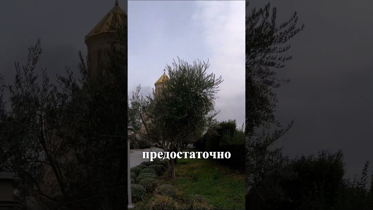 Когда прошла первая служба в храме Святой Тройцы в Тбилиси? #shorts #грузия #шортс