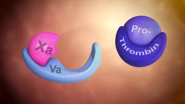 Российский Антитромботический Форум