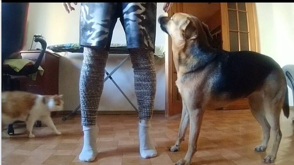 Профилактические упражнения для стоп при сахарном диабете 2 типа.