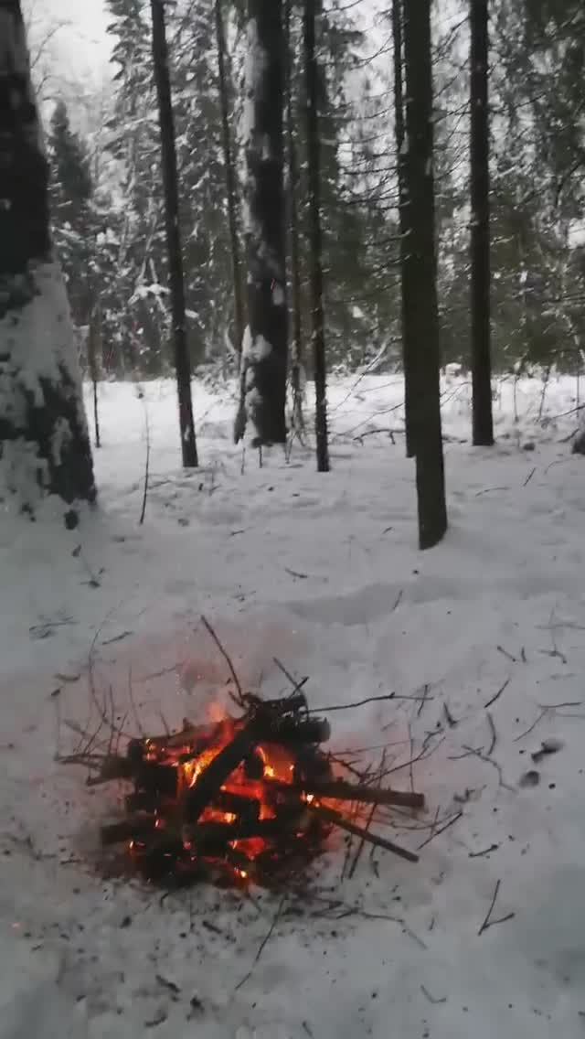 Зимний пикник