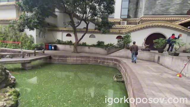 Гуанчжоу #9 Guangzhou 03.2025 Сад Руины Яочжоу. Yaozhou Ruins. 药洲遗址 Храм Дафо. Автобус. Рынок.