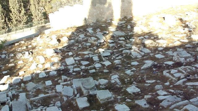 Вид с горы Елеон