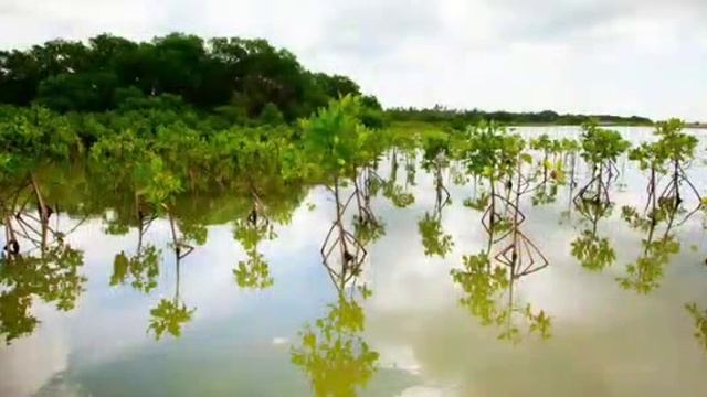 ... Индонезия - Что мы знаем об этой Стране....
