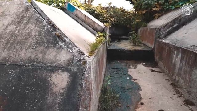 #610 Фильм-расследование крушения НЛО _По следам Гриара Мурати_. Загадочное происшествие на Украине.