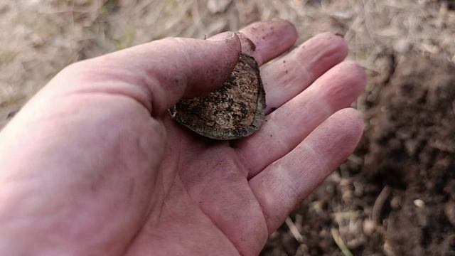 Что можно найти в степи при помощи прибора