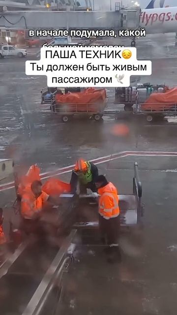 видео как пашу техника пакуют в самолет