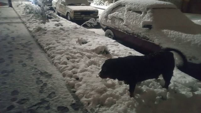 зима заглянула в Крым 11.04.2025 погостить