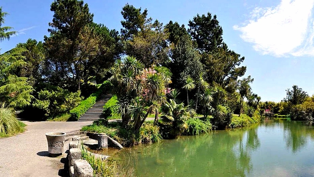 Toто & Гио Пика & Баста. Парк "Южные культуры" Сочи 2025 год. Часть 8.