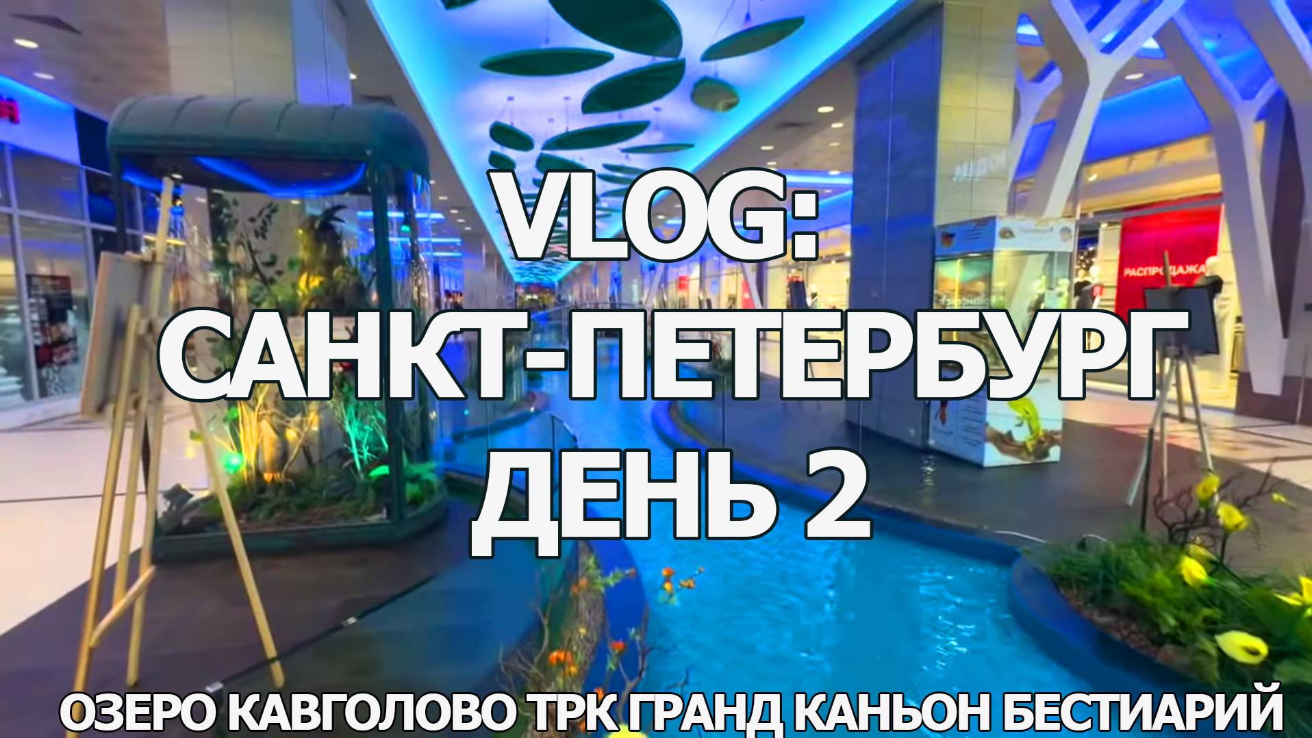 VLOG: Питер с друзьями, день 2. Озеро Кавголово, ТРК Гранд Каньон, Бестиарий СПб