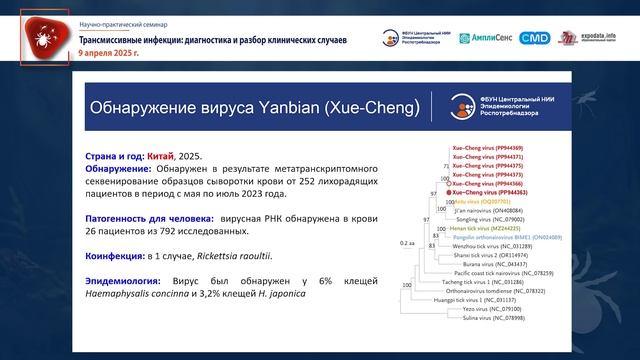 Новые ортонайровирусы в структуре трансмиссивных патогенов человека