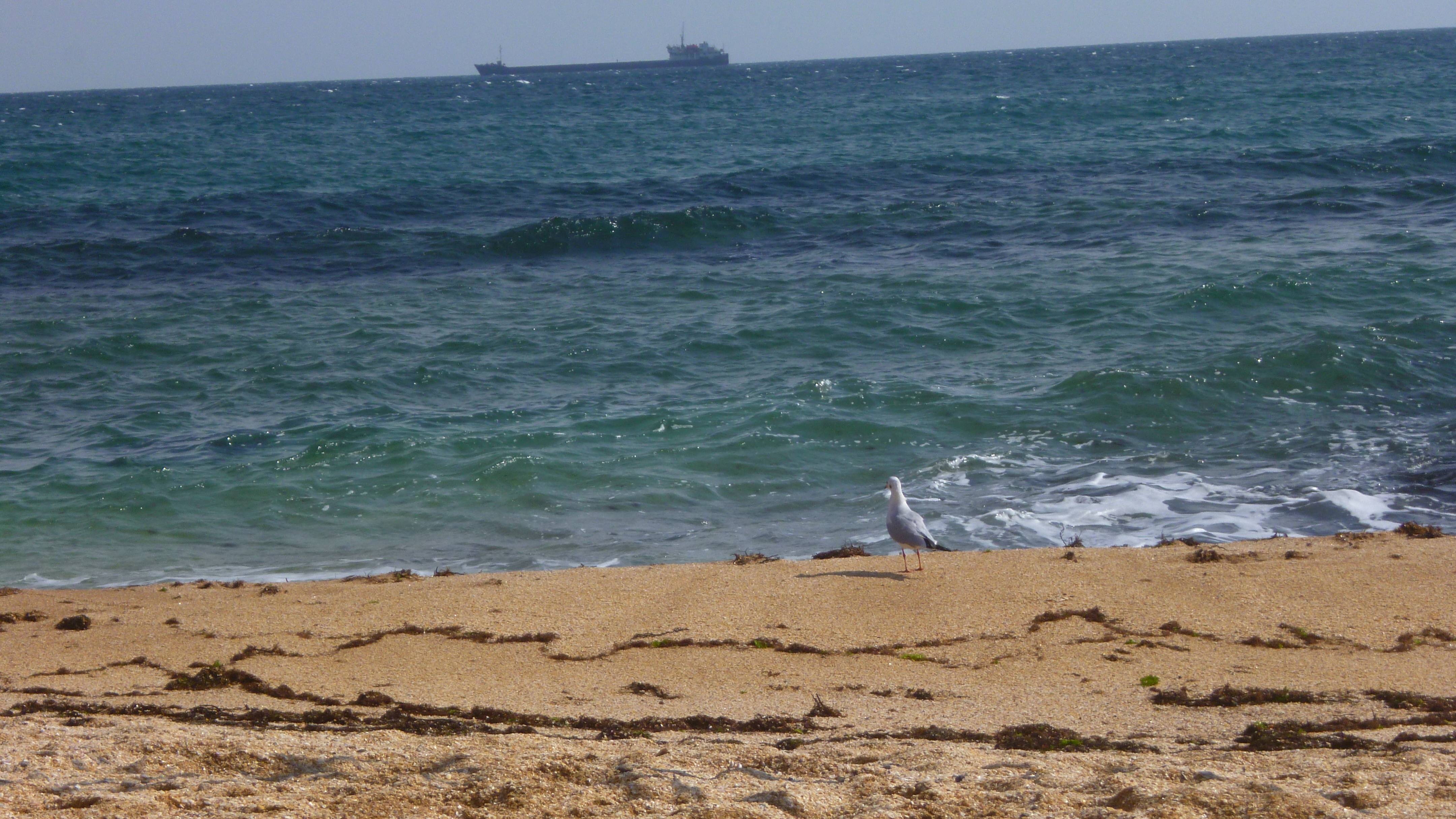 Море, солнце и июль