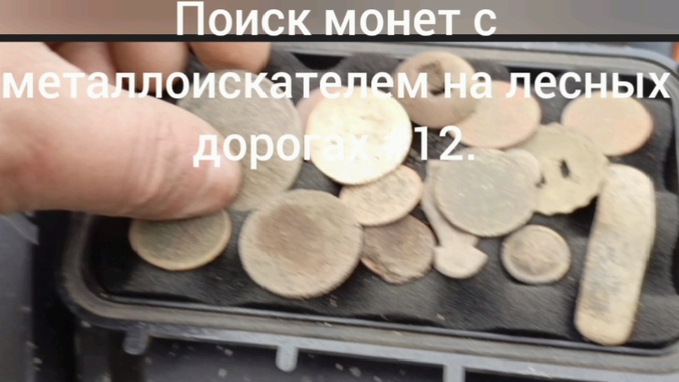 поиск монет с металлоискателем на лесных дорогах 12
