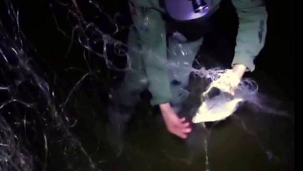 Браконьеры на канале им Москвы.