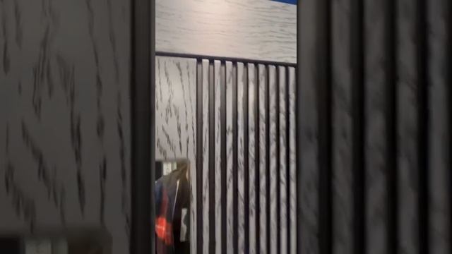 Обзор двери «Буган»