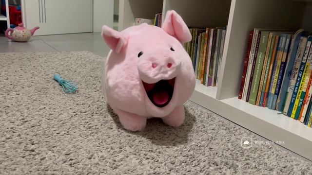 Настоящий питомец