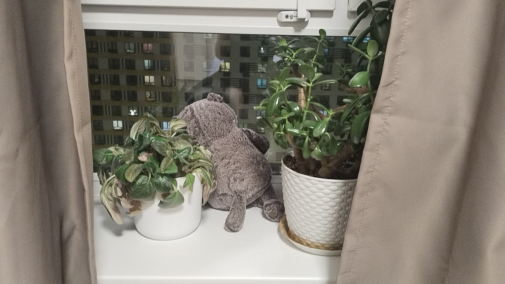 Вечерний влог с кошечками 🐱 Лили: «Ложимся спать 🛌» и «Классное дерево 🌳».