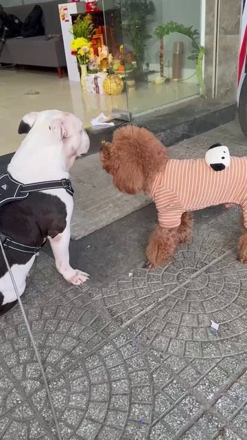 Галю пытаются кадрить.