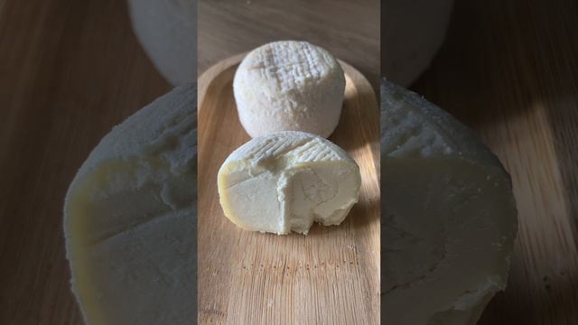 Козья какашка 💩 Изысканный сыр французов  🧀