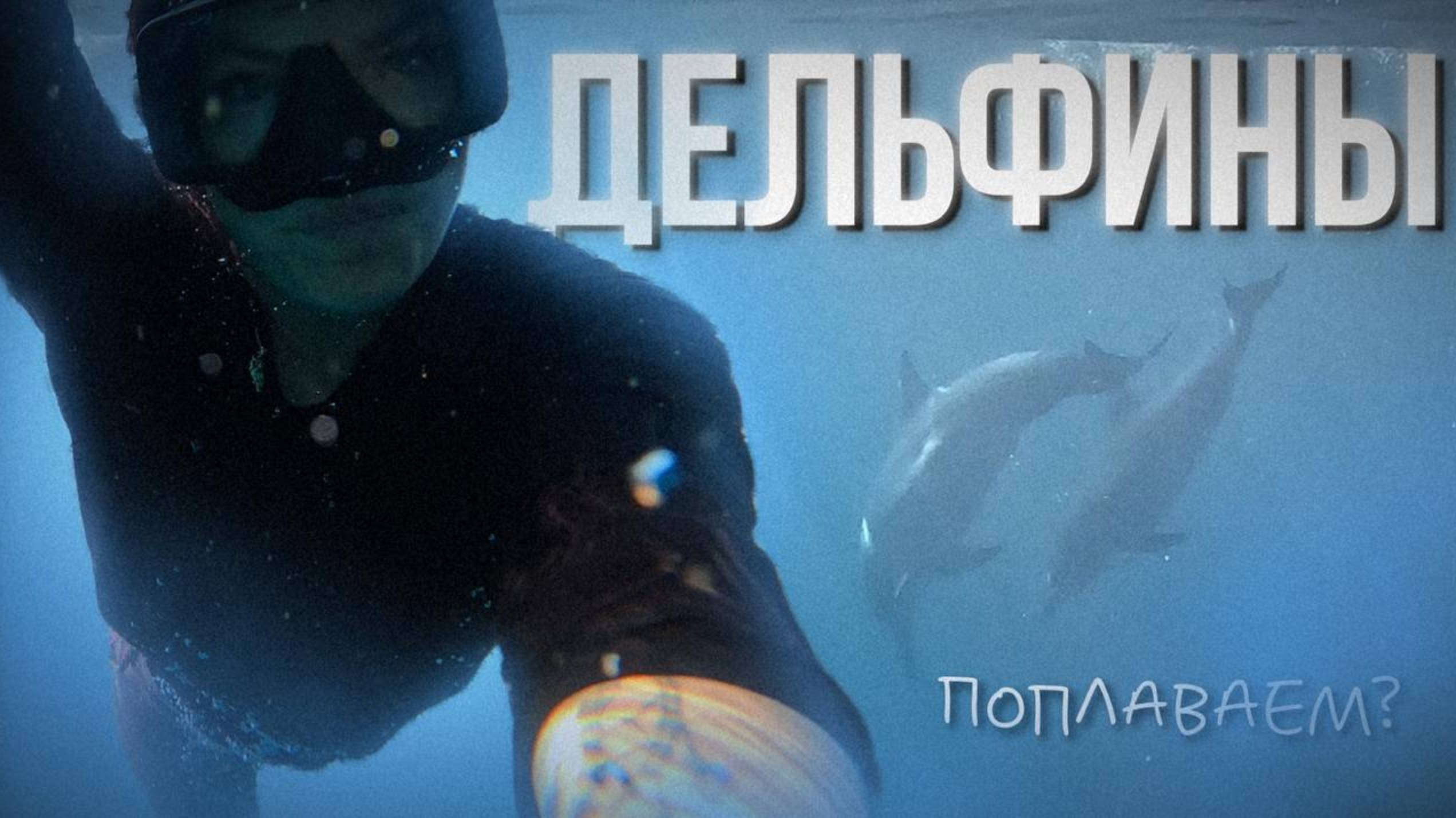 Охота за дельфинами на Бали 🐬 | Снорклинг, рисовые террасы и магия старого дерева