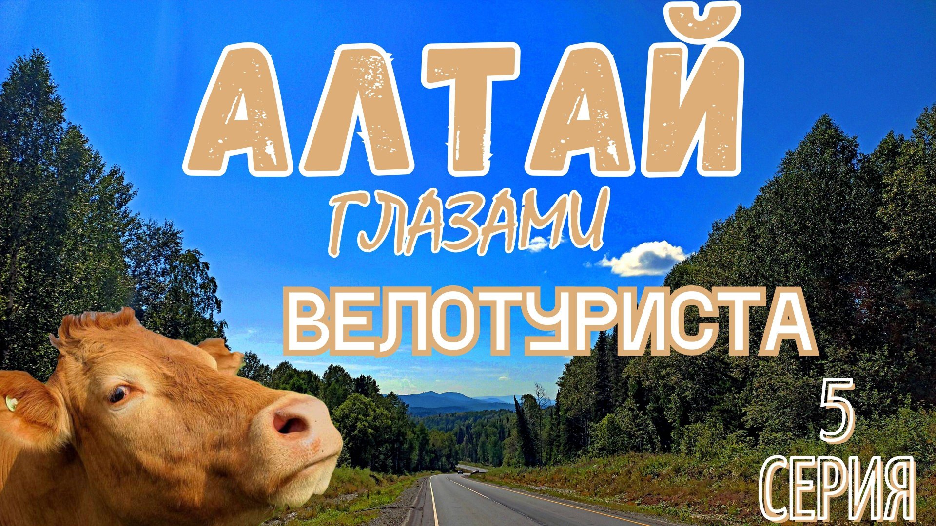 Алтай глазами велотуриста 5 серия