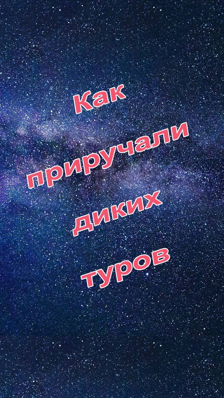 Как приручали диких туров: один из возможных вариантов