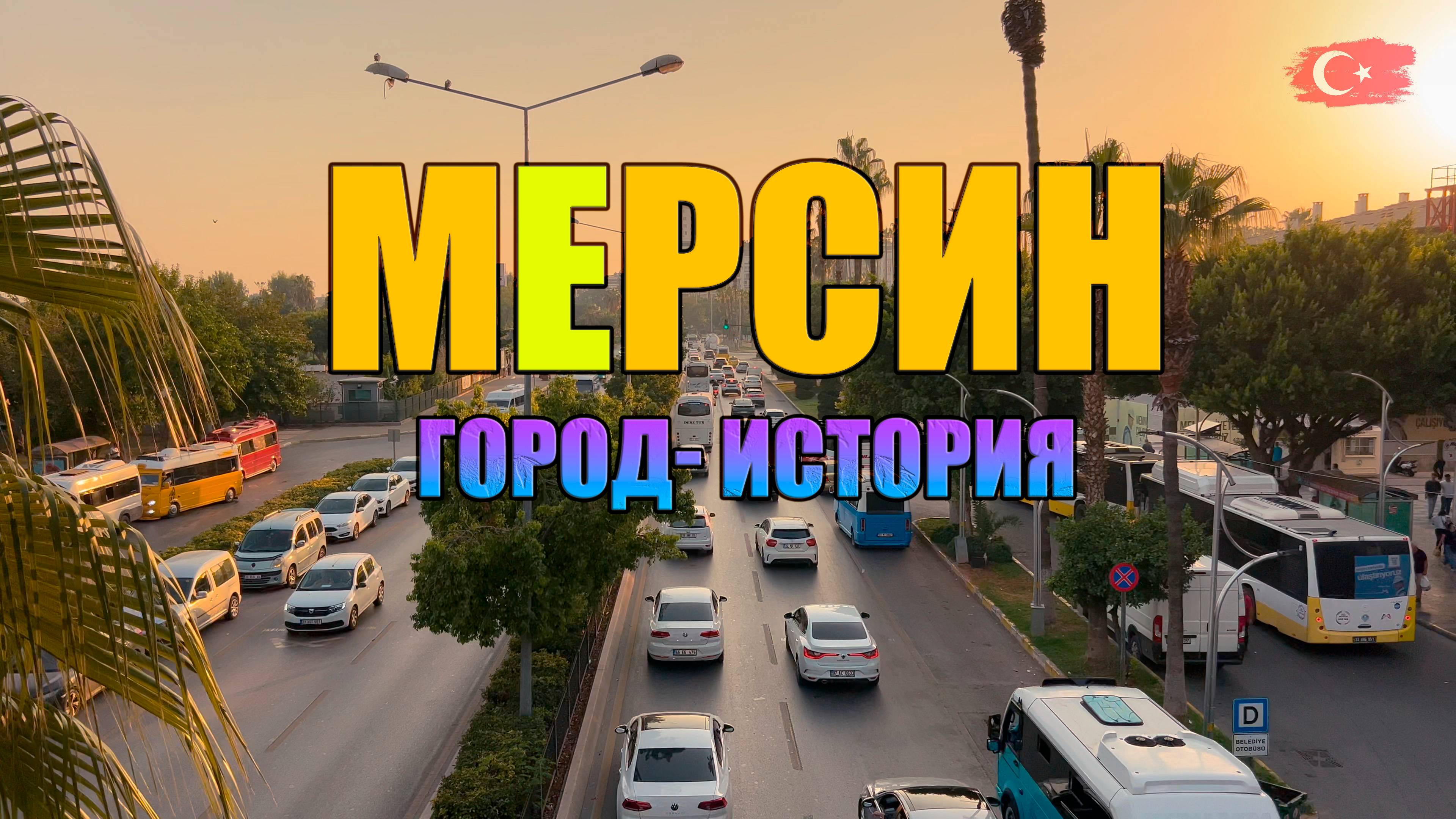 Прогулка по Мерсину, стрижка для Максюши и спасение котенка!