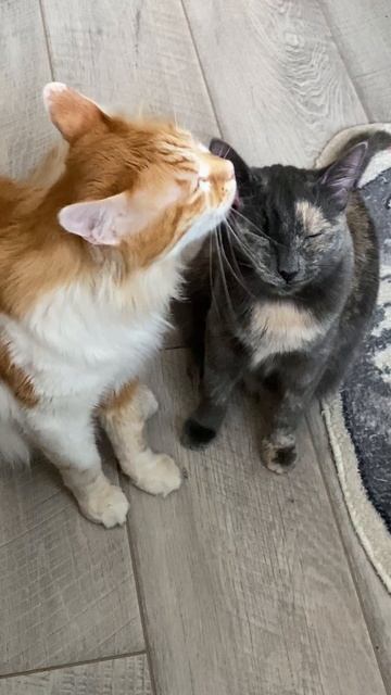 Один и ЛУНА. И где ты так испачкалась?